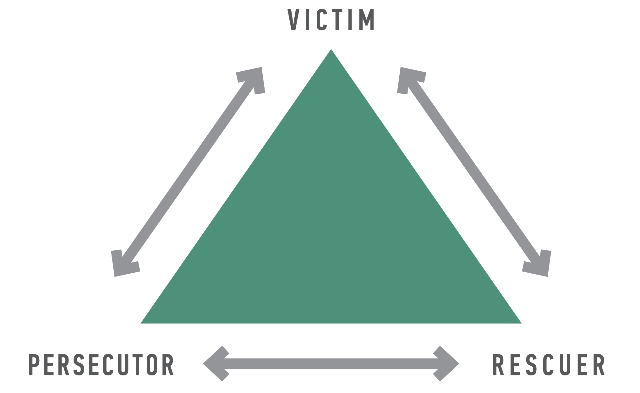BIAMI Blog Post: Triangulation — What is it and how...